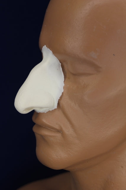 Character Nose 2 Insert — Coast Fiber Tek