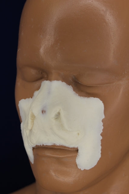 Alien Nose 2 Insert — Coast Fiber Tek